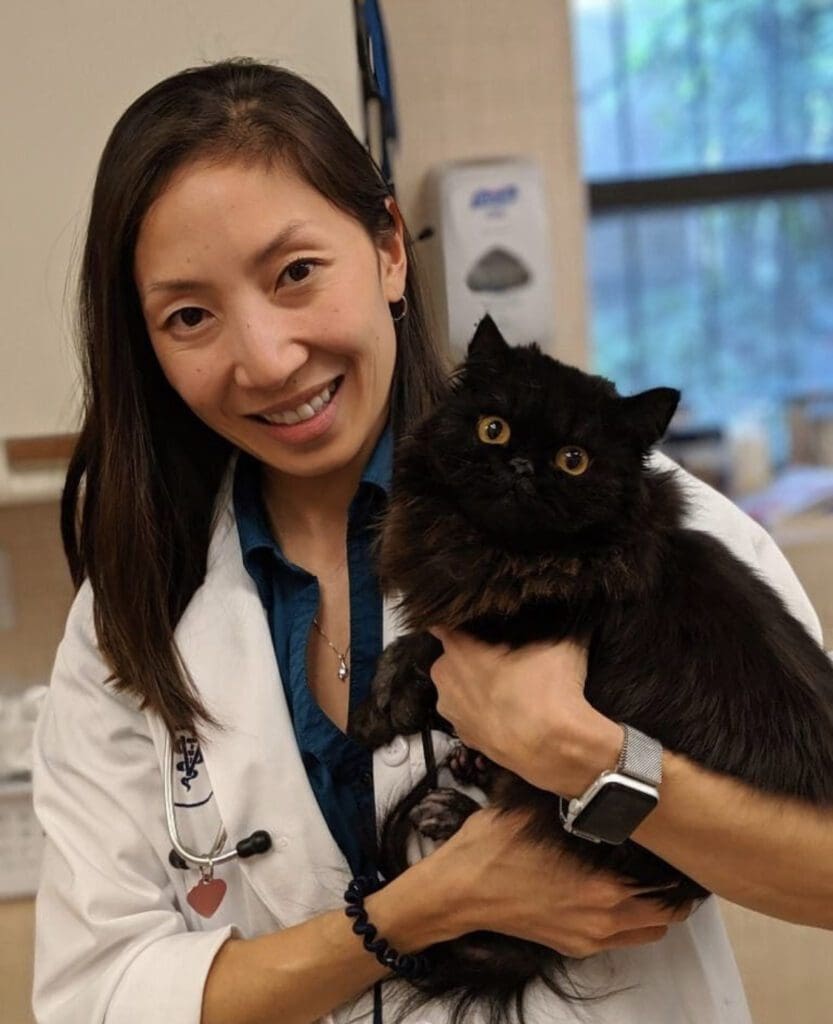 Veterinarians and Animal Hospitals in Brooklyn and New York, NY | Heart ...