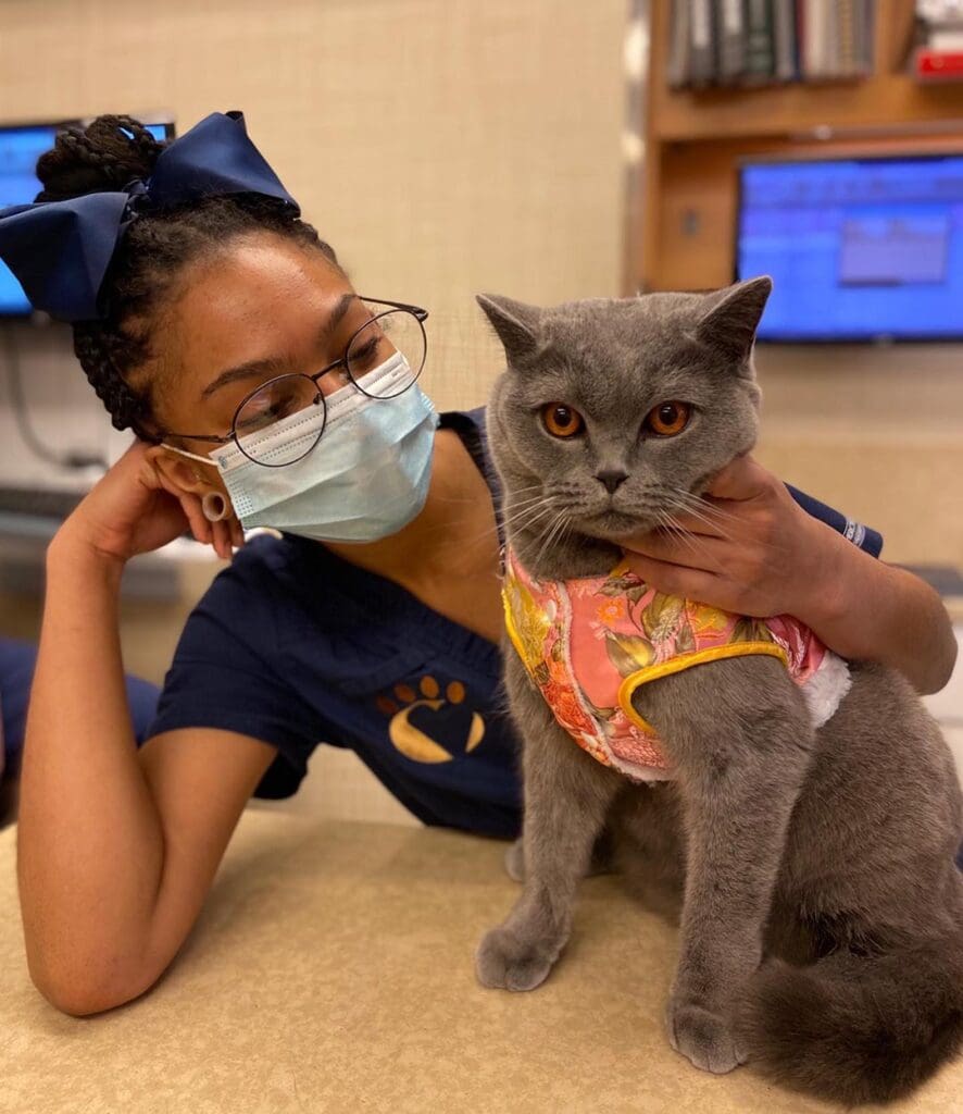 Pet Wellness Care in New York City | Heart of Chelsea Veterinary Group
