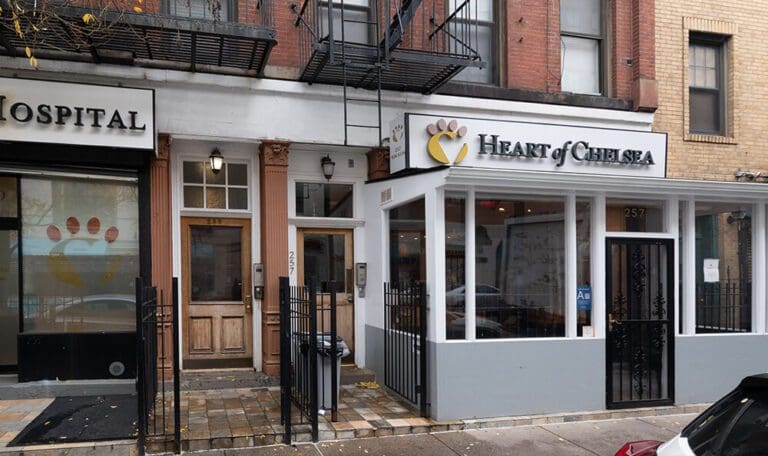 Veterinarians and Animal Hospitals in Brooklyn and New York, NY | Heart ...