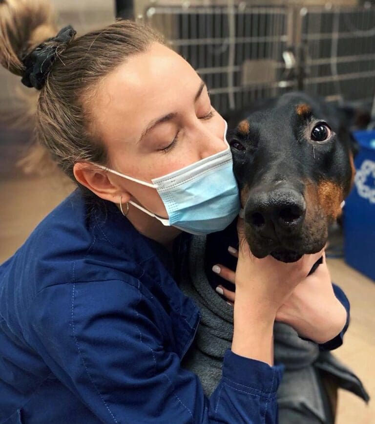 Veterinarians and Animal Hospital in Park Slope, Brooklyn, NY | Heart ...
