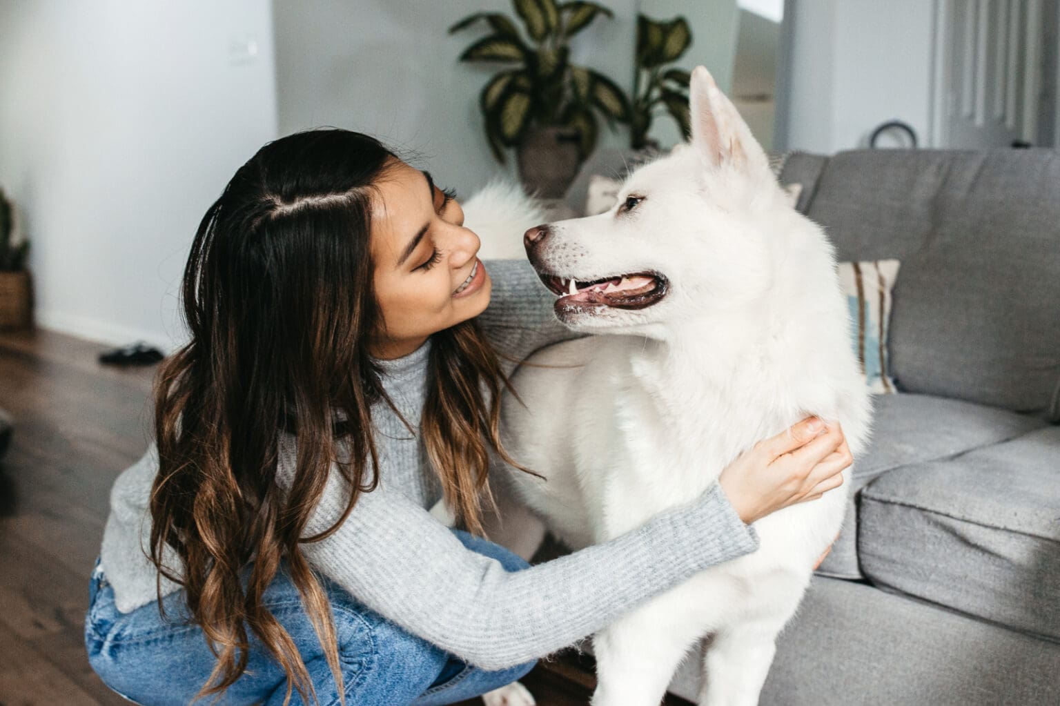 Veterinarians and Animal Hospitals in Brooklyn and New York, NY | Heart ...