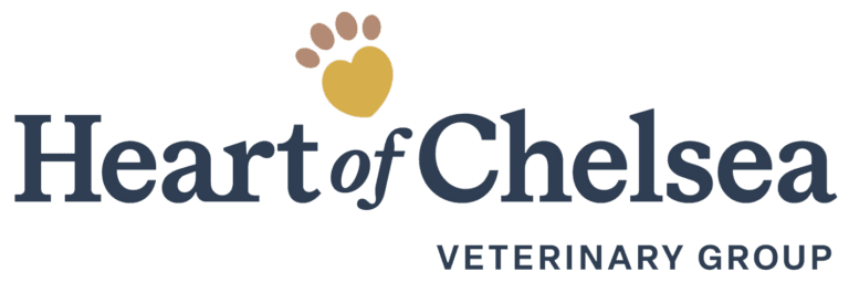 Veterinarians and Animal Hospitals in Brooklyn and New York, NY | Heart ...