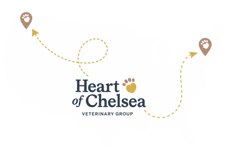 Meet Our Team | Heart of Chelsea Veterinary Group